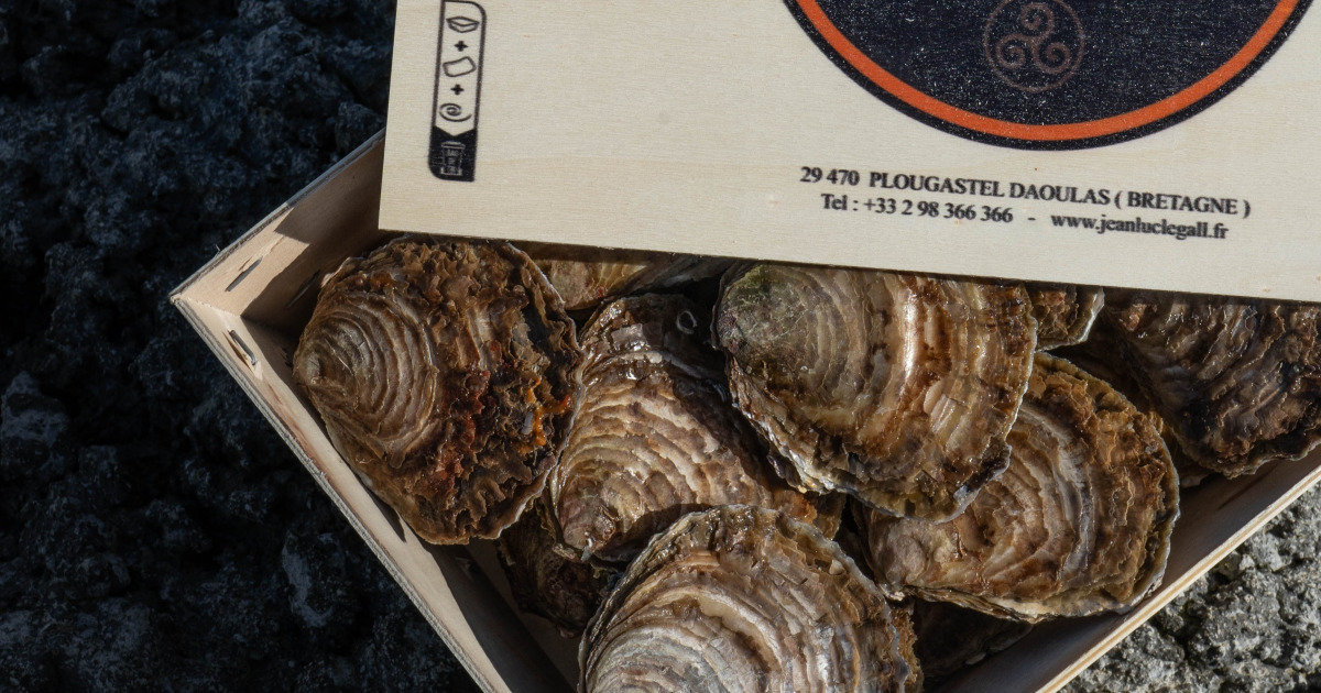 Huitres Plates Très Grosses X 24 PIECES