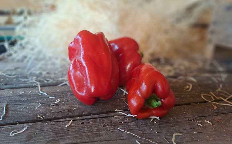 Poivron rouge Bio - 500 g