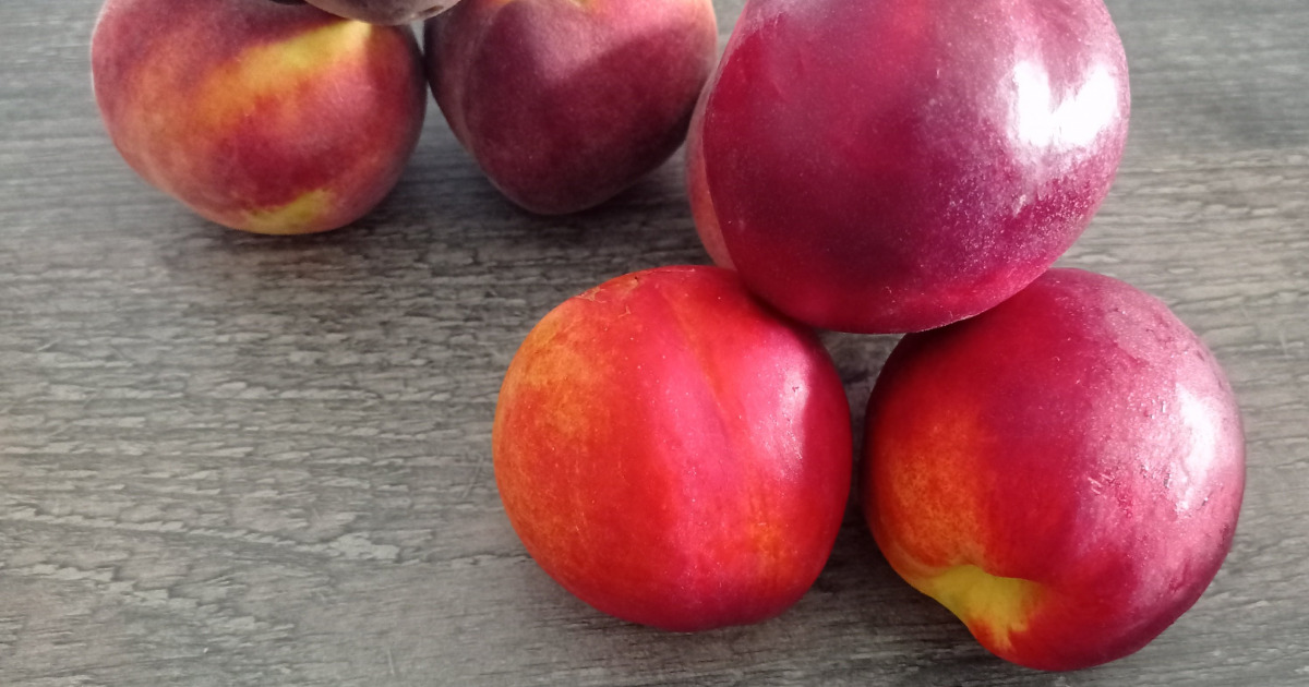 Nectarine jaune BIO du Roussillon