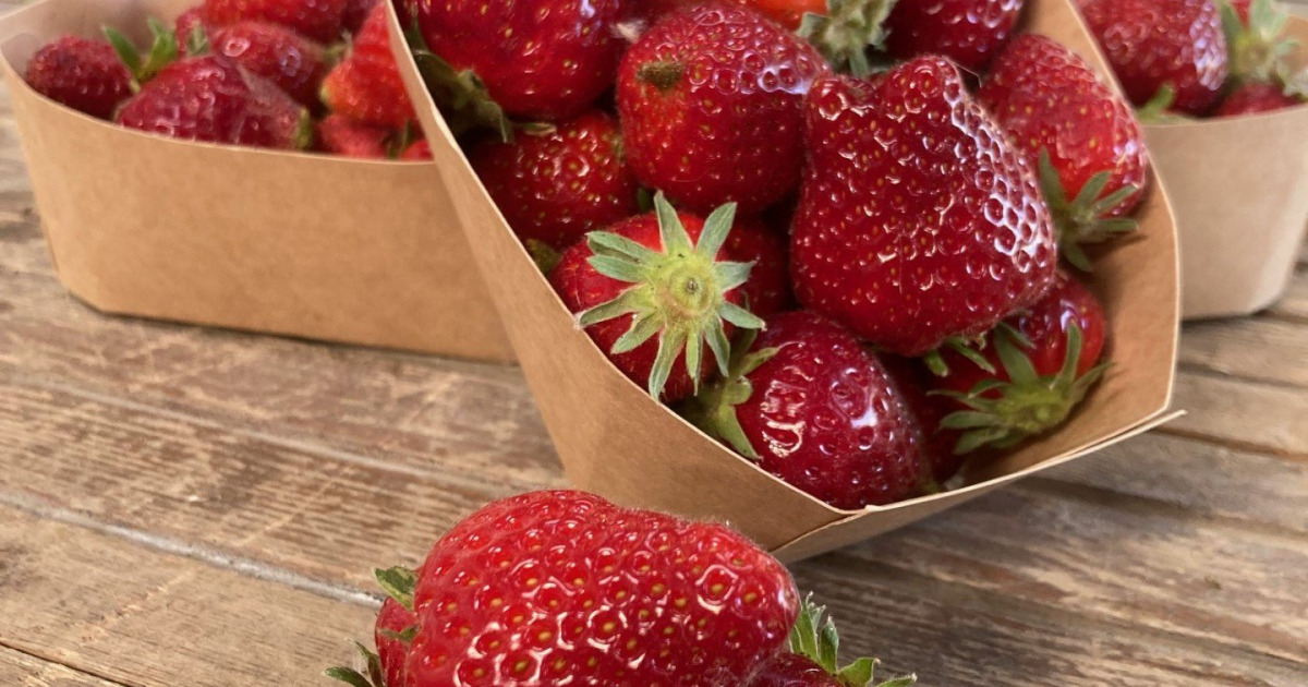 Fraises des jardins Bio - 250g
