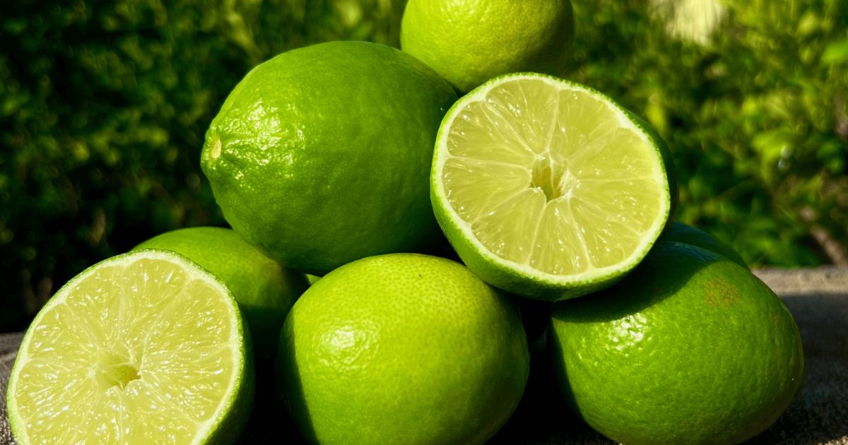 Citron Vert - Lime de Tahiti - 1kg