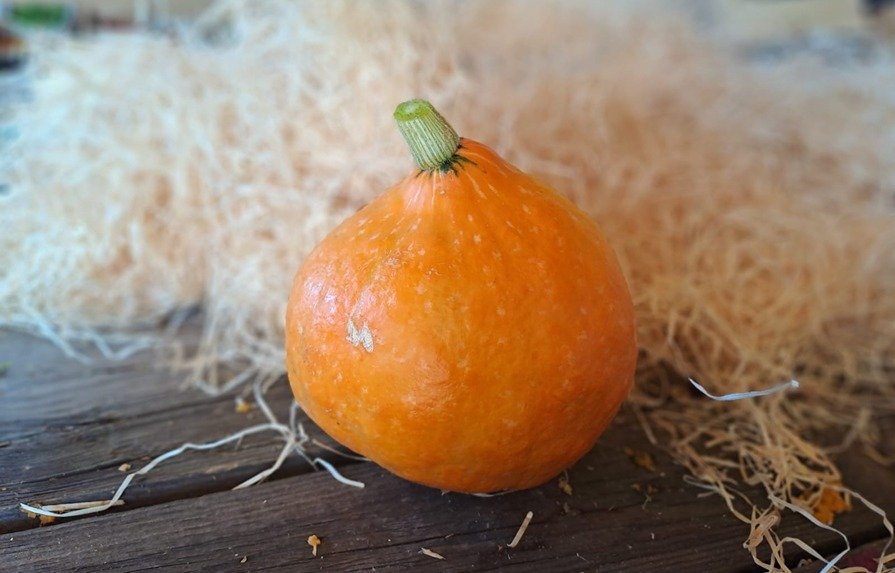 Potimarron Bio - 500 à 800 g