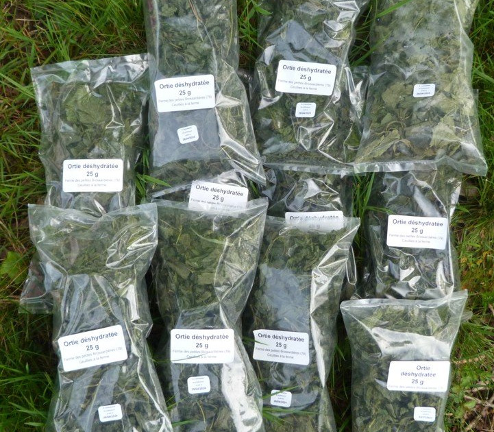 Lot orties – 11 sachets de 25 g soit 275g