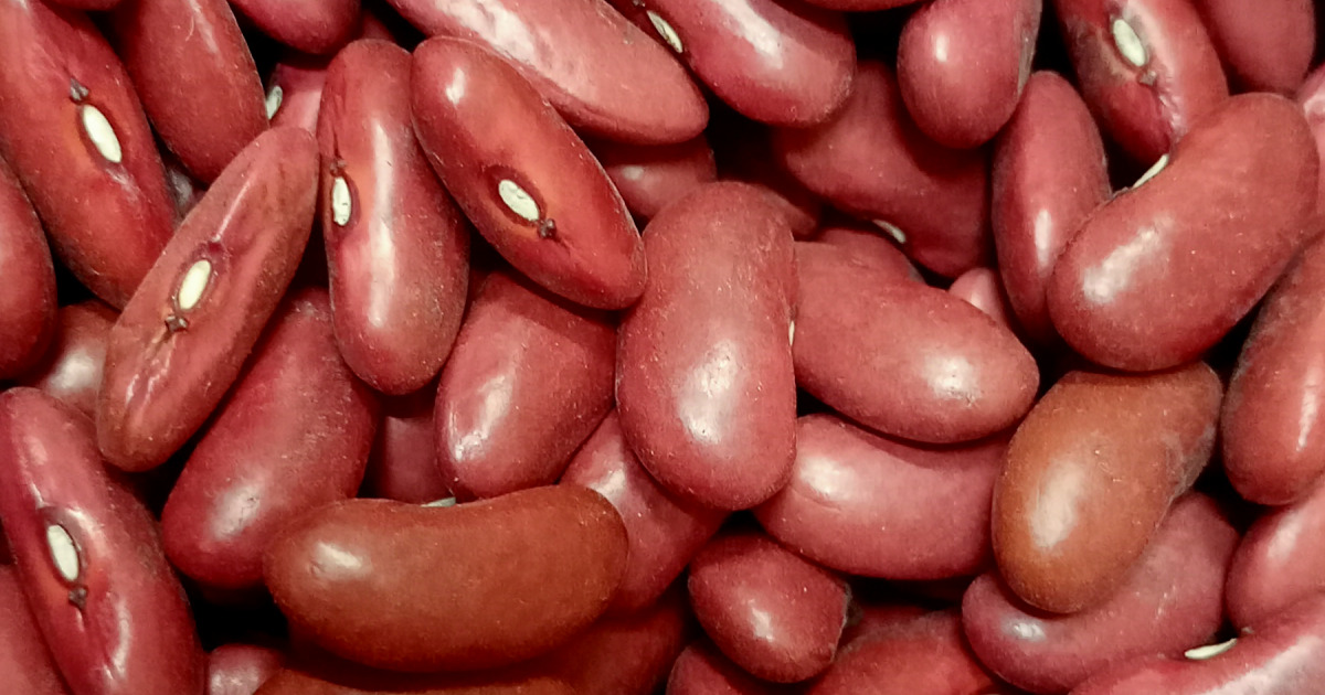 Haricots rouges Bio - 1Kg