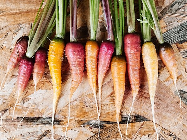 Mini-carottes Marché de Paris — tendresse gastronomique