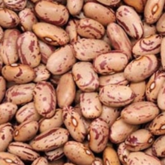 Haricots coco roses 500GR