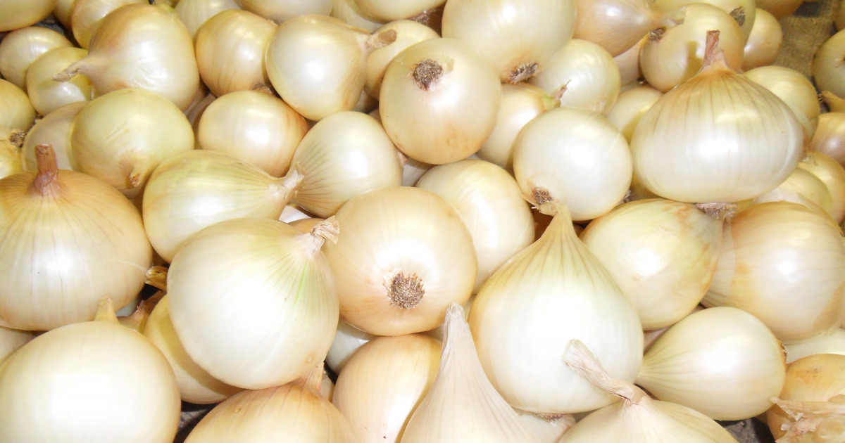 Oignon Doux Des Cévennes AOP - 6,5kg