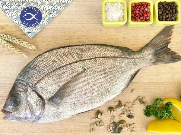 Dorade Grise Sauvage Vidée - 500 g