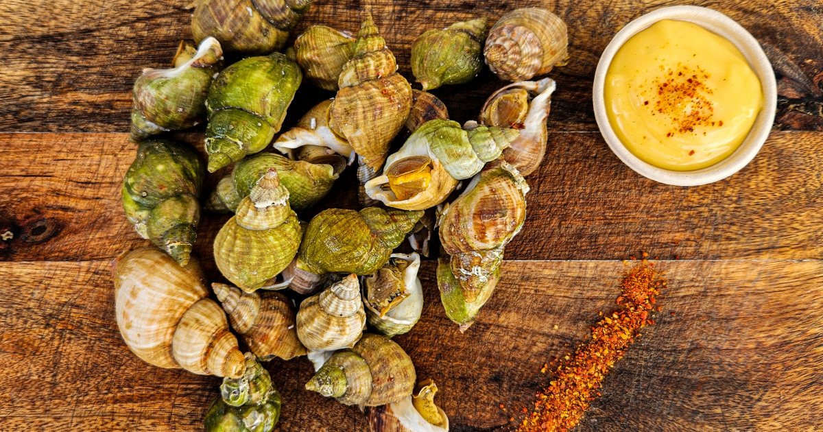 Bulots cuits Maison - 400g ~2 personnes