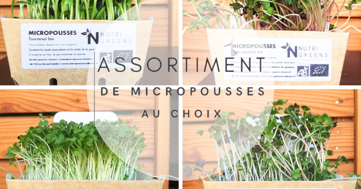 Micro pousses bio Assortiment au choix 16 barquettes