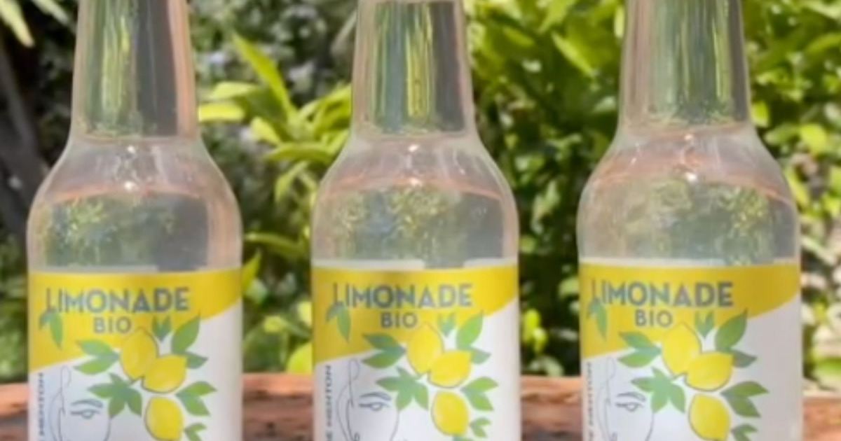 Limonades Bio au Citron de Menton x 3