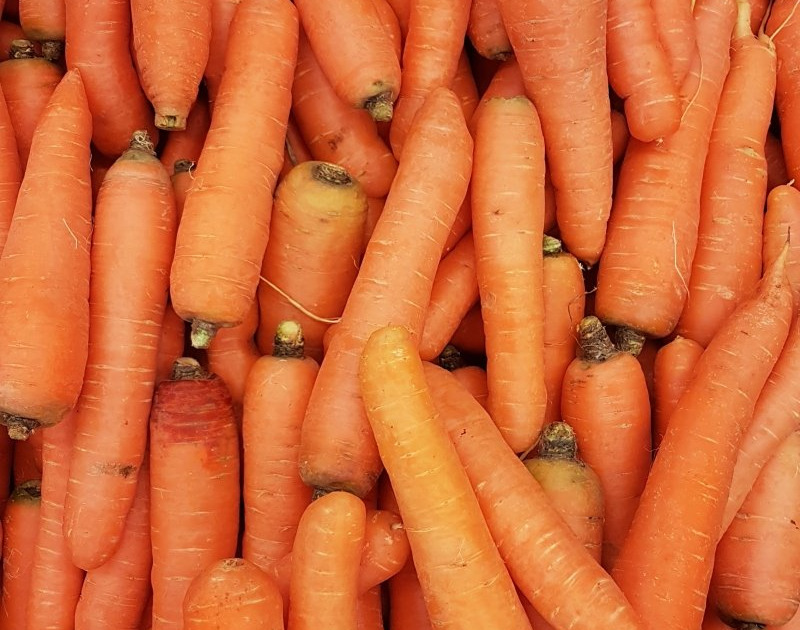 Carottes vrac bio