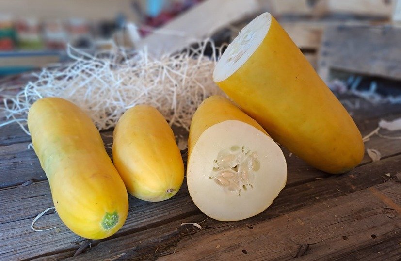 Concombre jaune Bio - 1 pièce (400 à 500 g)
