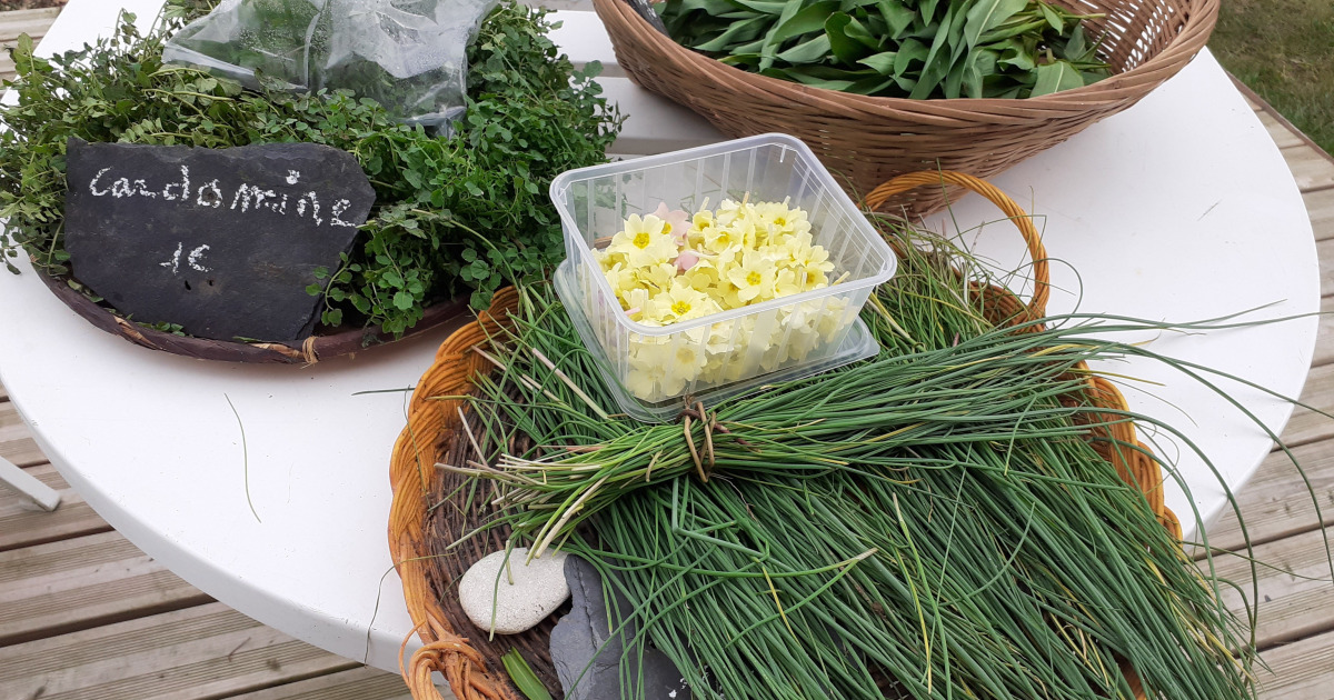bulbes et légumes sauvages