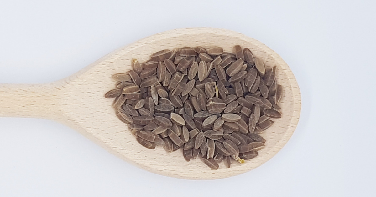 Pâte Risoni cèpes 5kg