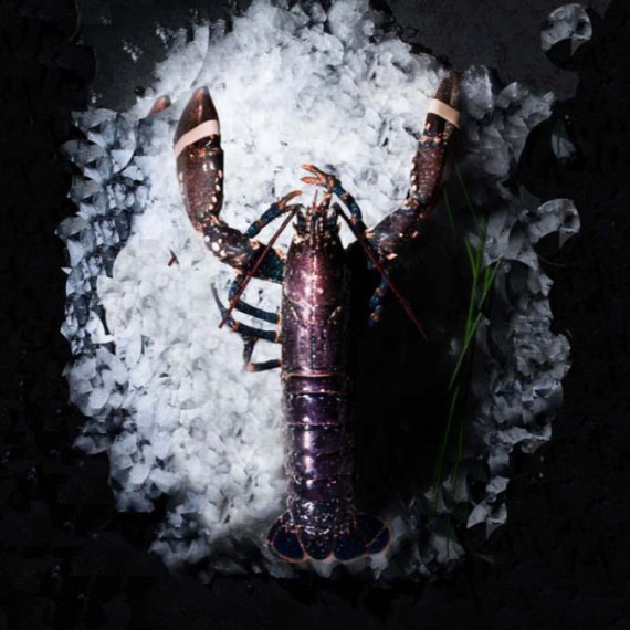 Homard Vivant - 500g