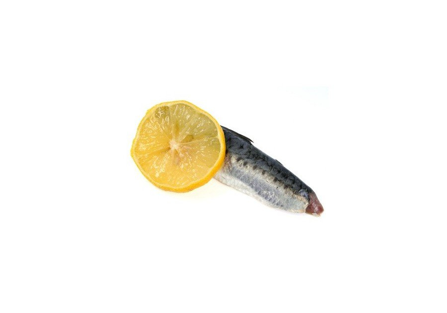 Filet de Sardine lot de 2kg