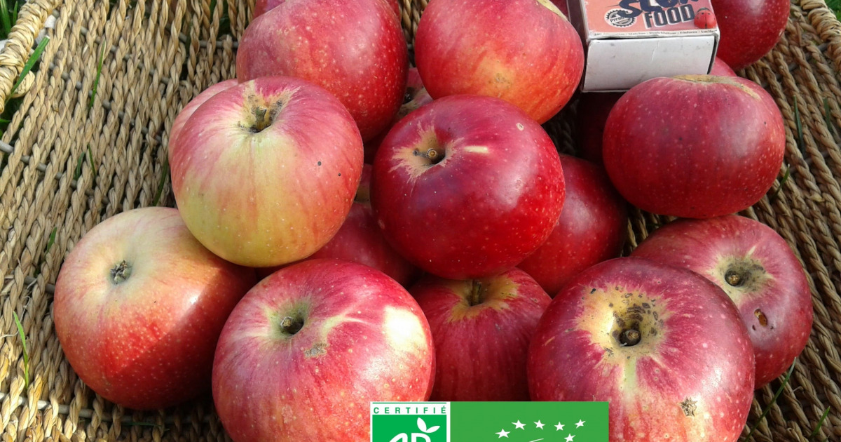 POMME Rouge de Lorraine - 3kg
