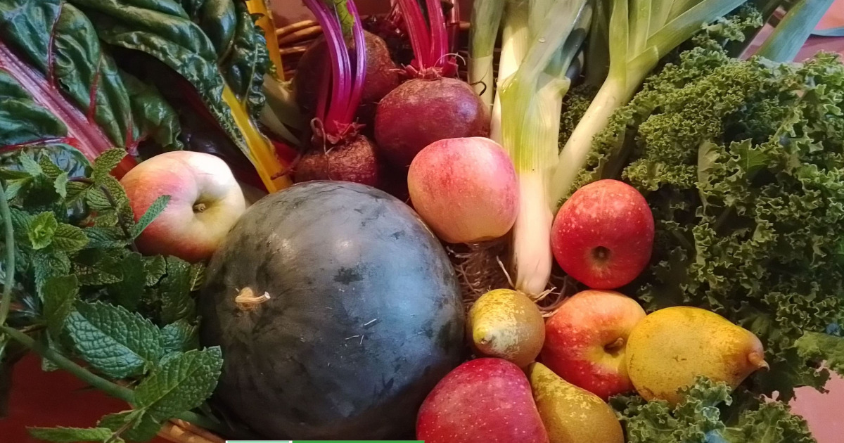 Panier modulable / FRUITS et LEGUMES bios d'AUTOMNE