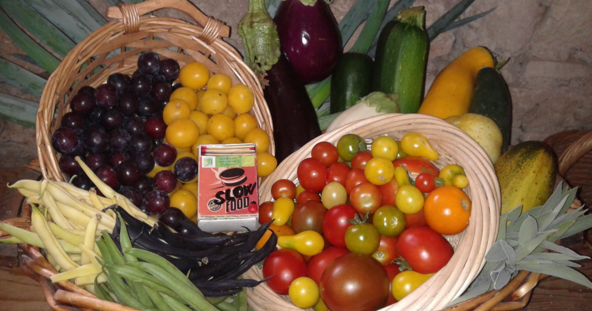 Panier modulable / FRUITS et LEGUMES bios d'ETE