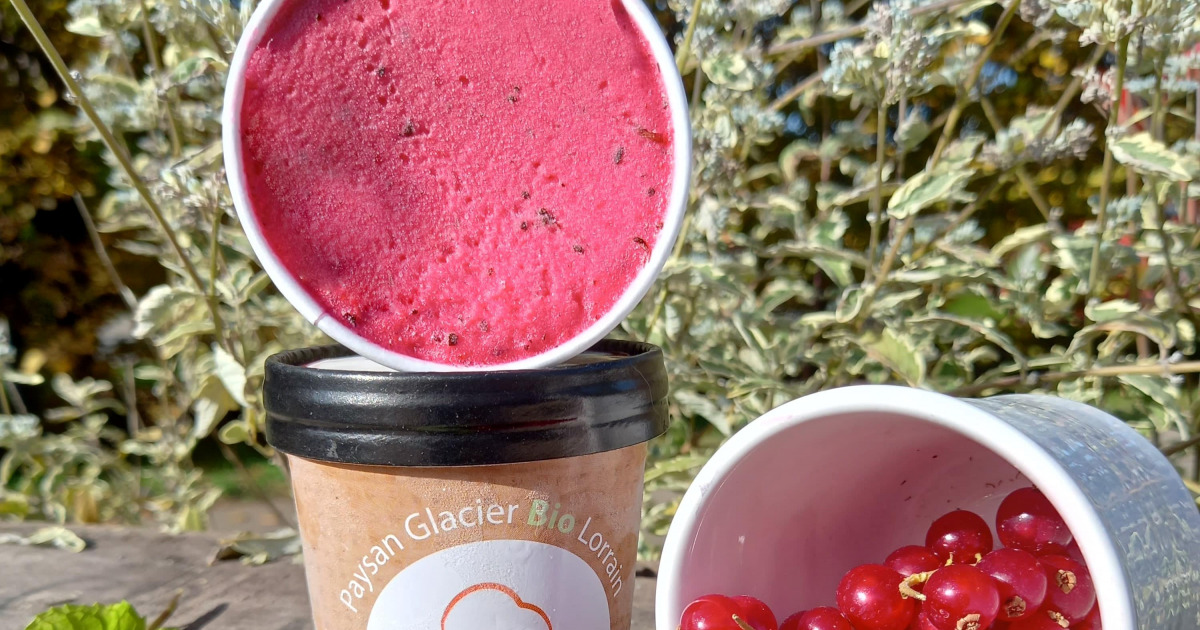 Sorbet Groseille Menthée BIO 125 ml