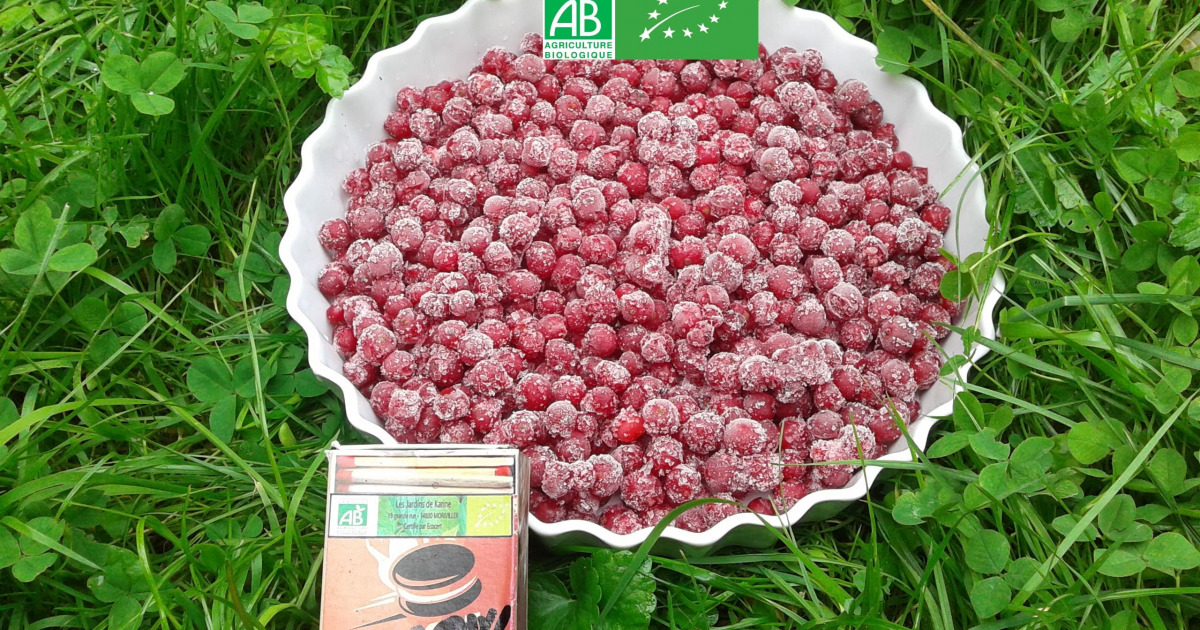 Groseilles rouges surgelées - 1kg