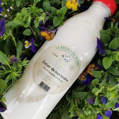 lait de brebis