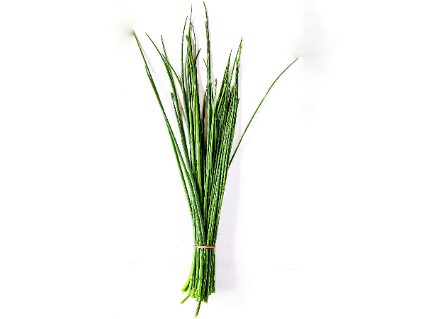 Ciboulette Fraîche