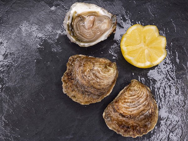 Huîtres Plates "Belon" Très Grosse - 24 pièces