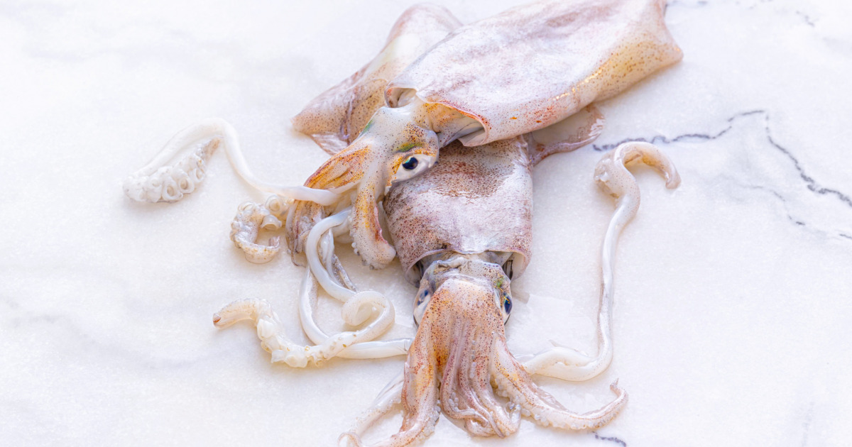 encornet entiers non nettoyés 3kgs