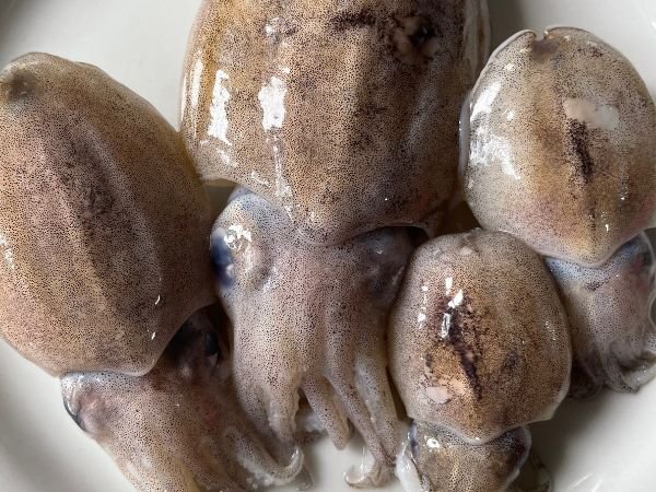 Seiche entière - 1kg