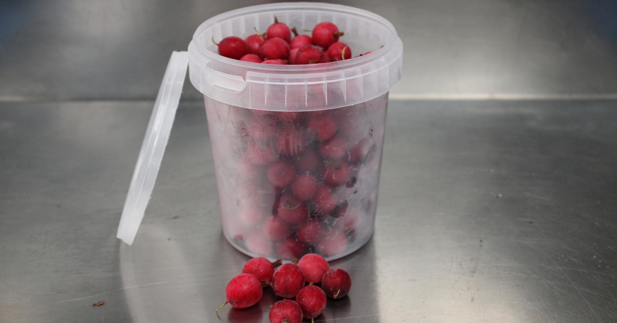 [SURGELÉ] Groseilles à maquereaux BIO - 450G