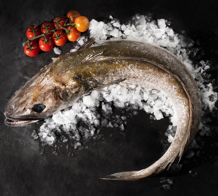 Colin Entier Vidé - Pièce De 2kg