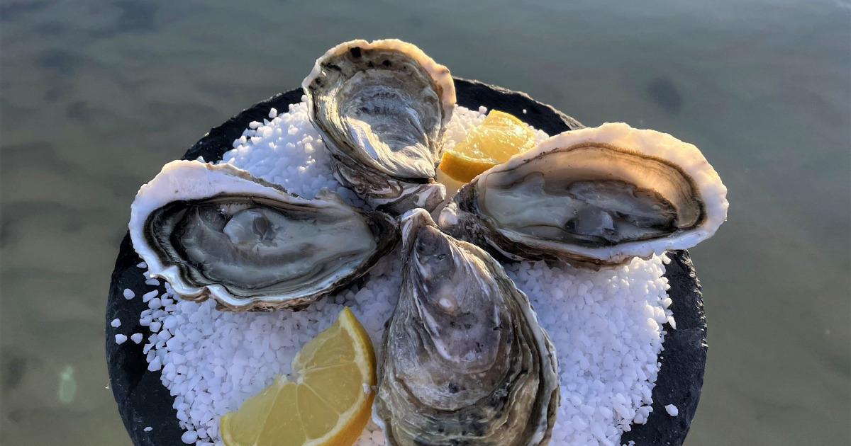 Huîtres "Fines de Pleine Mer" n°2 - 1,25 kg