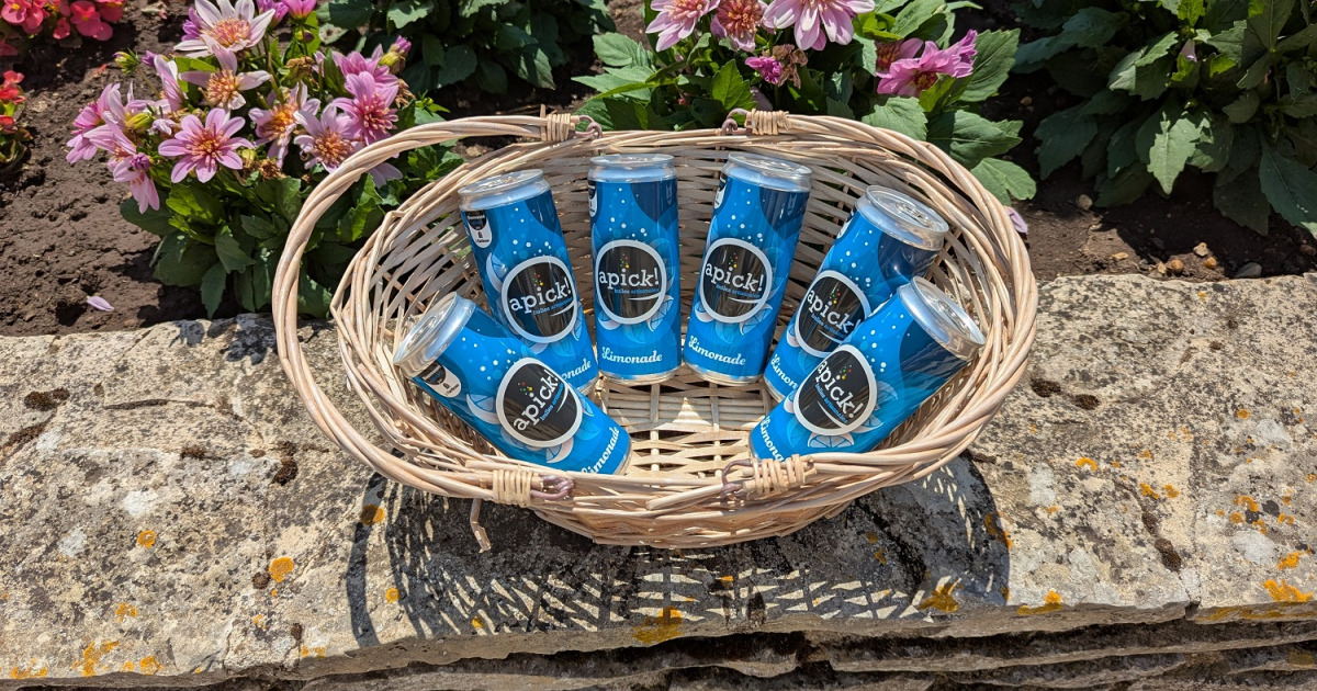 Pack 6 canettes de LIMONADE 33cL Apick!