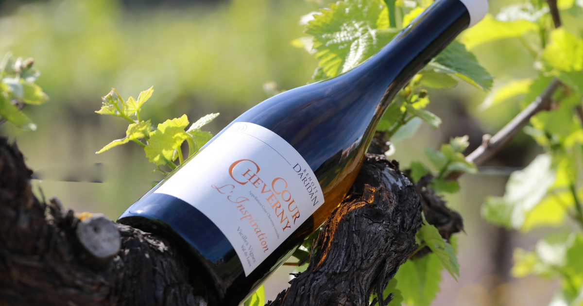 Vin AOC Cour Cheverny Blanc 2020 "L'Inspiration"