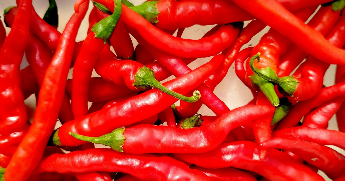 Piment de Cayenne – Allongé, ardent et plein de caractère