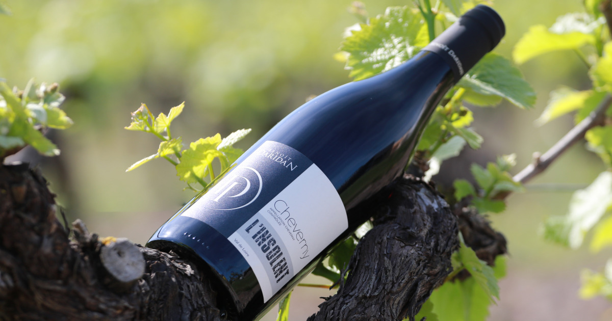 Vin AOC Cheverny Rouge "l'Insolent" 2015 - 6x75cl