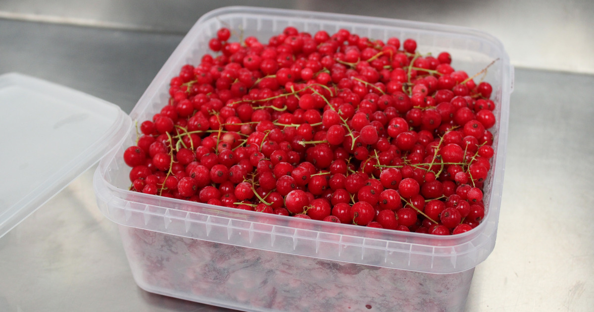 [SURGELÉ] Groseilles BIO - 1KG