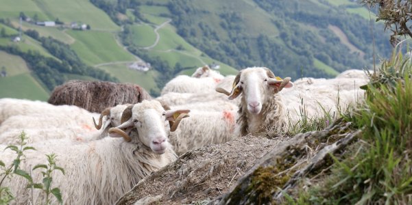 La ferme Lassalle