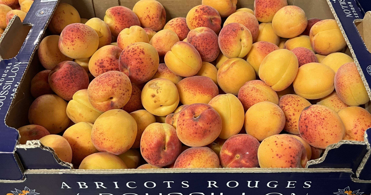 Abricots rouges du Roussillon AOP Bio - 4,5 kg