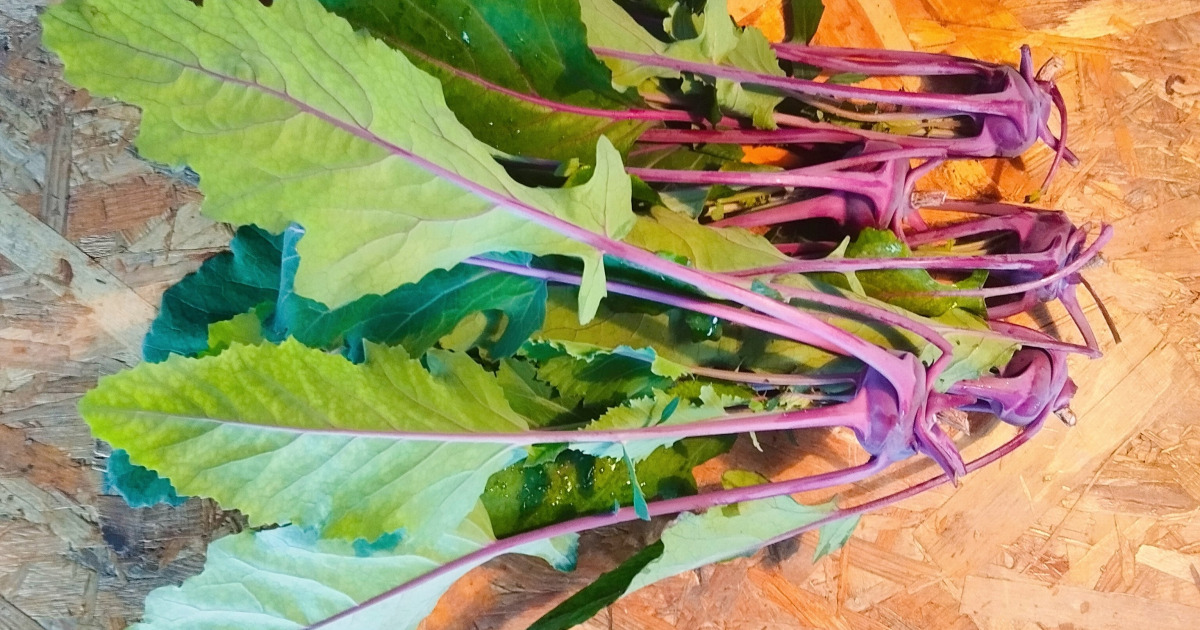 Mini Chou-Rave Violet – L’élégance gastronomique