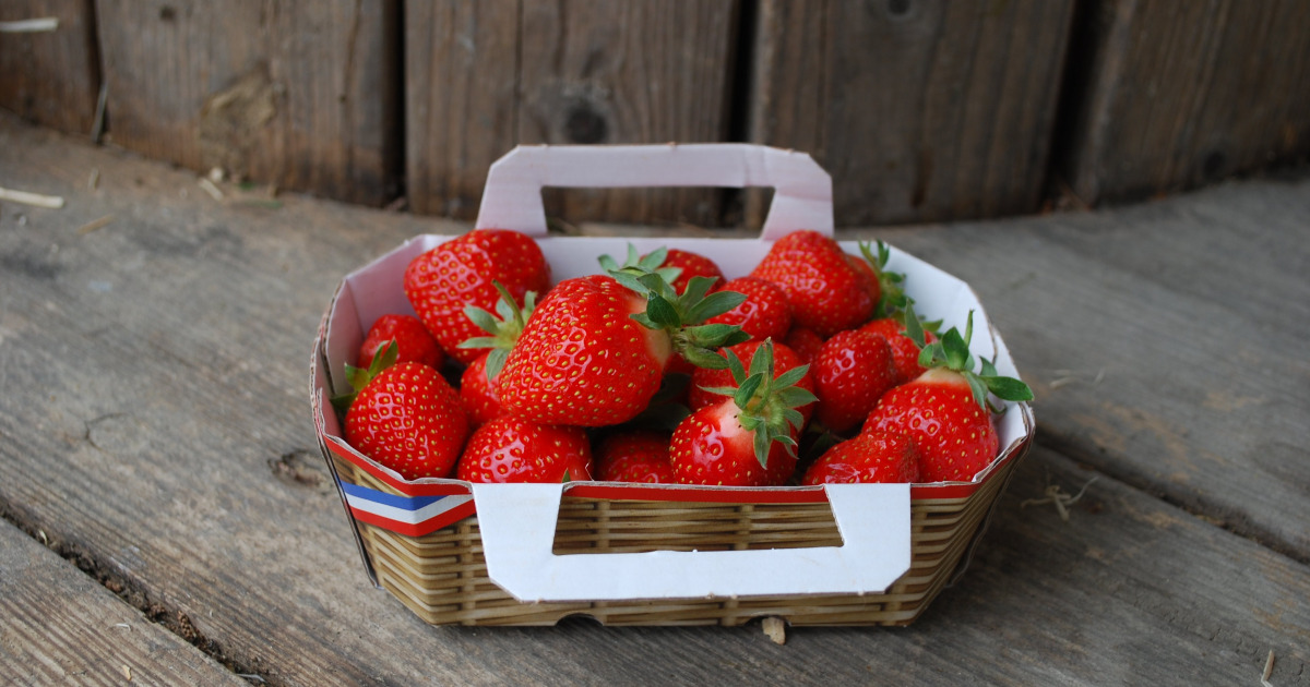 Fraise bio - 500g x 6