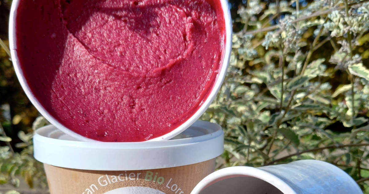 Sorbet Cassis BIO 500 ml