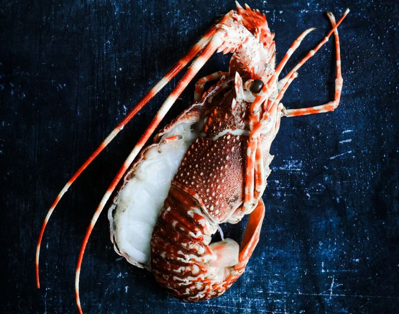 Langouste rose cuite en carapace coupée en 2