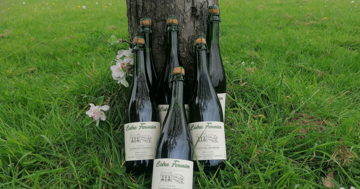 Cidre Fermier Demi-Sec BIO x6