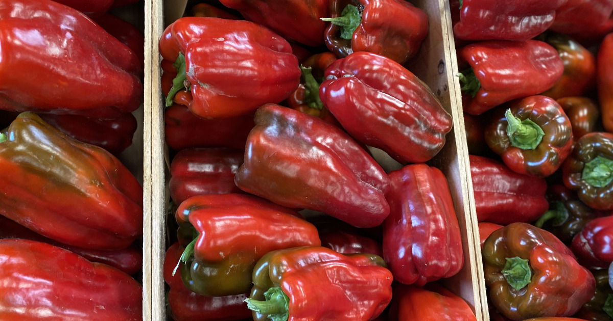 Poivrons Rouges Bio - 1 Pièce