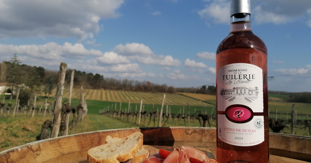 AOP Côtes De Duras Rosé 2020 Domaine De La Tuilerie Labreille 6 X 75CL