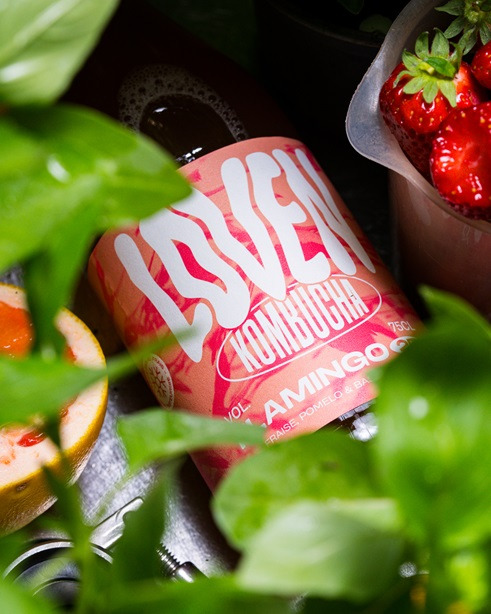 Kombucha Flamingo 25 (Fraise, Pomelo & Basilic) - 10x33cl