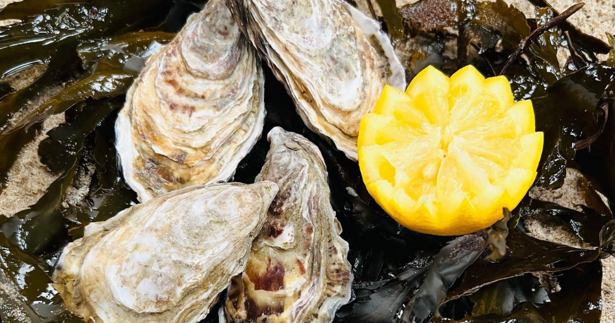 24 Huitres Creuses de Normandie N2